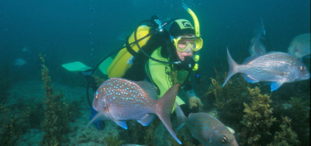 goat-island-marine-reserve-diver - Escape to Leigh
