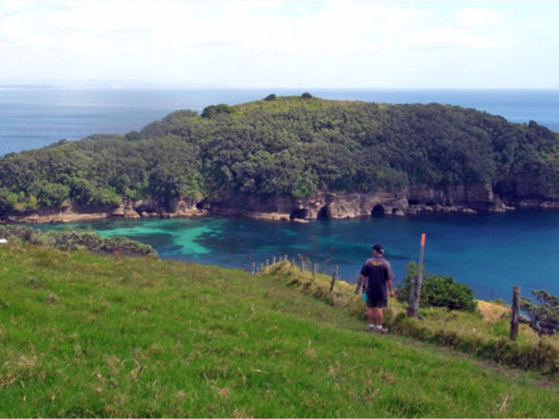 Leigh, New Zealand | Escape to Leigh NZ | Things to See | Places to Go