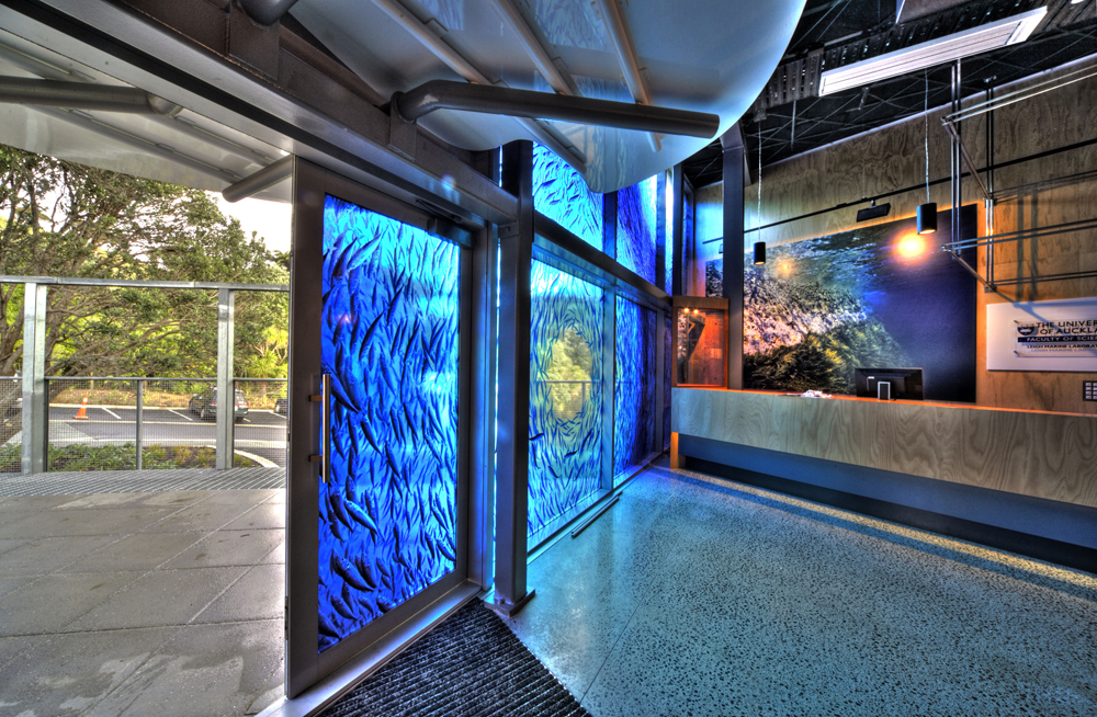 Goat Island Marine Reserve - Escape to Leigh