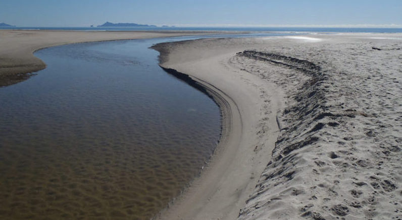 Escape to Leigh NZ | Pakiri | Beach, fishing, surfing